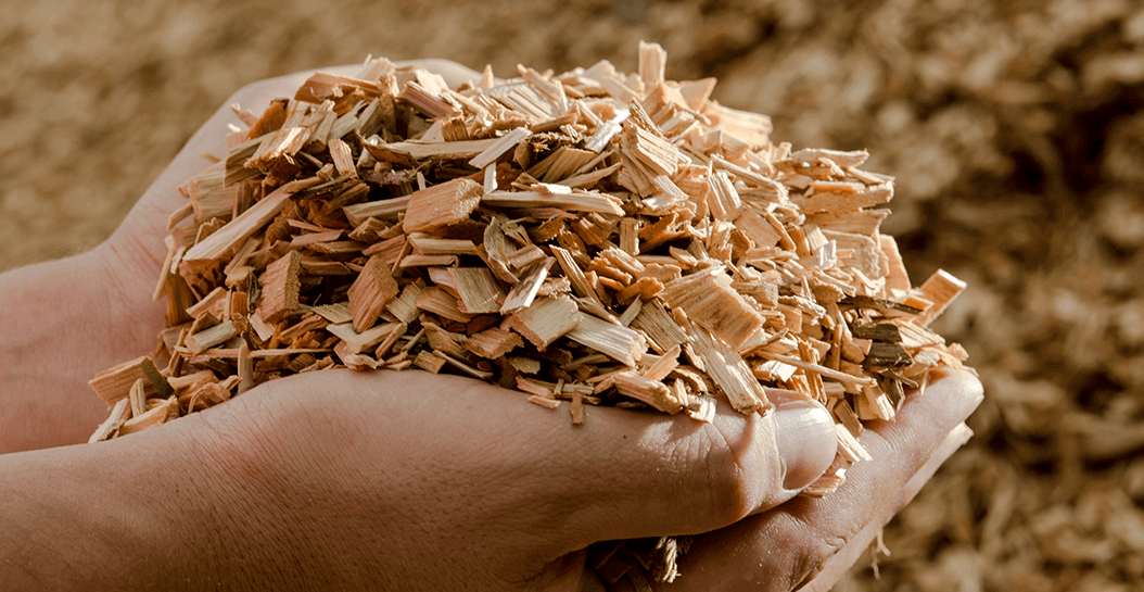 Miami Echo – Next-use Building Materials